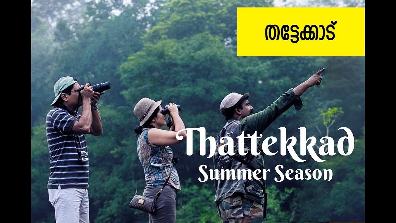 Thattekkadu- Bird sanctuary - Summer season - YouTube
