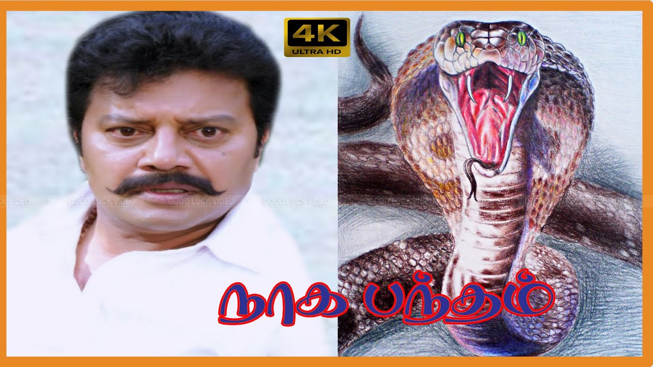NAGA BANDHAM TAMIL MOVIE 4K | SAIKUMAR SUPER HIT ACTION MOVIE | SNAKE ...