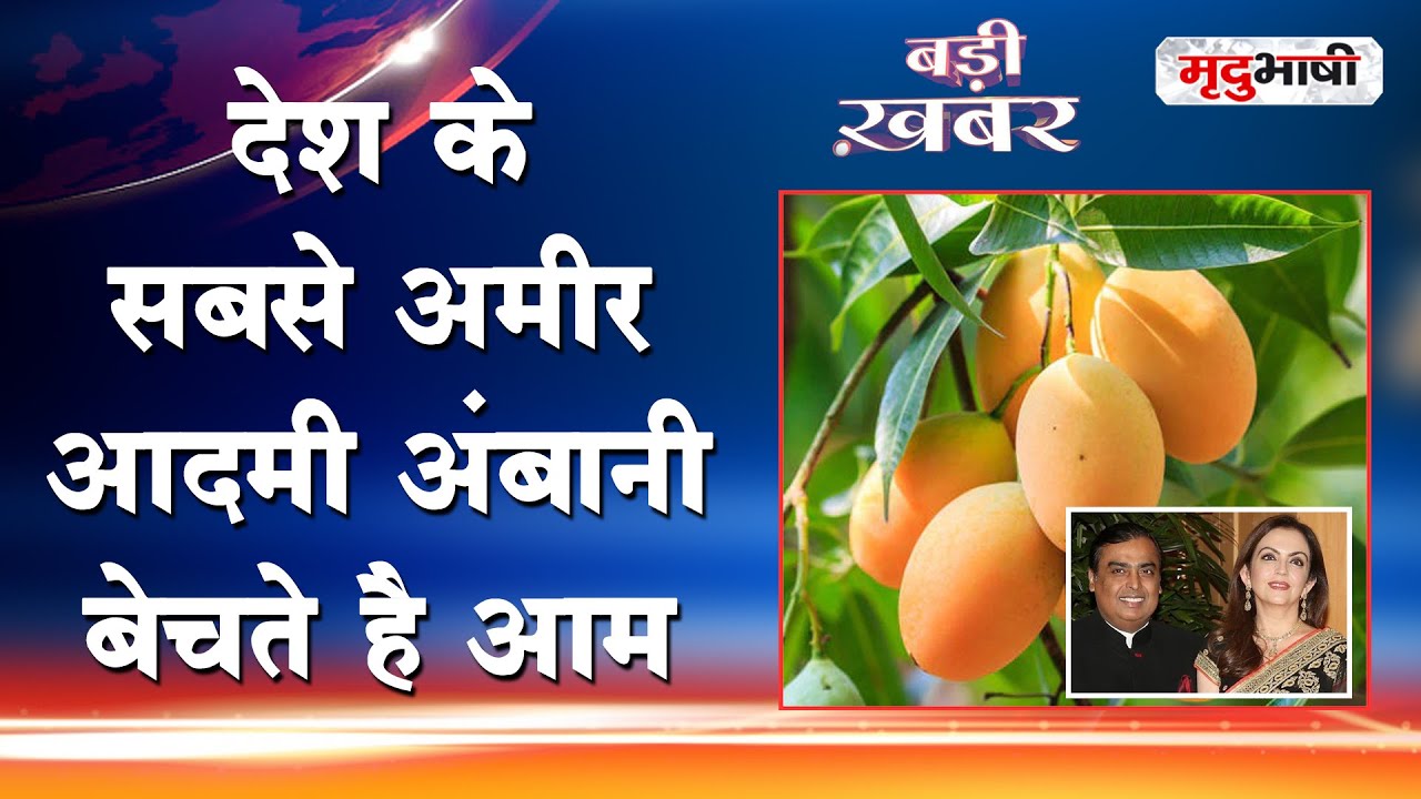 Reliance Mango Farm | आमों की जन्नत कहे जाने वाले अम्बानी के बाग़ की ...