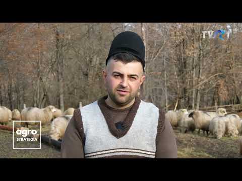 Tânărul care a ales să crească oi decât să plece în străinătate