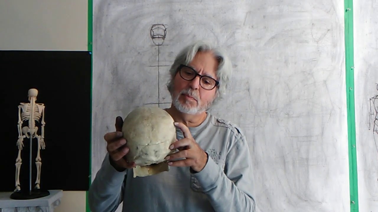 001 2 Proportion and Anatomy Landmarks, Back View - YouTube