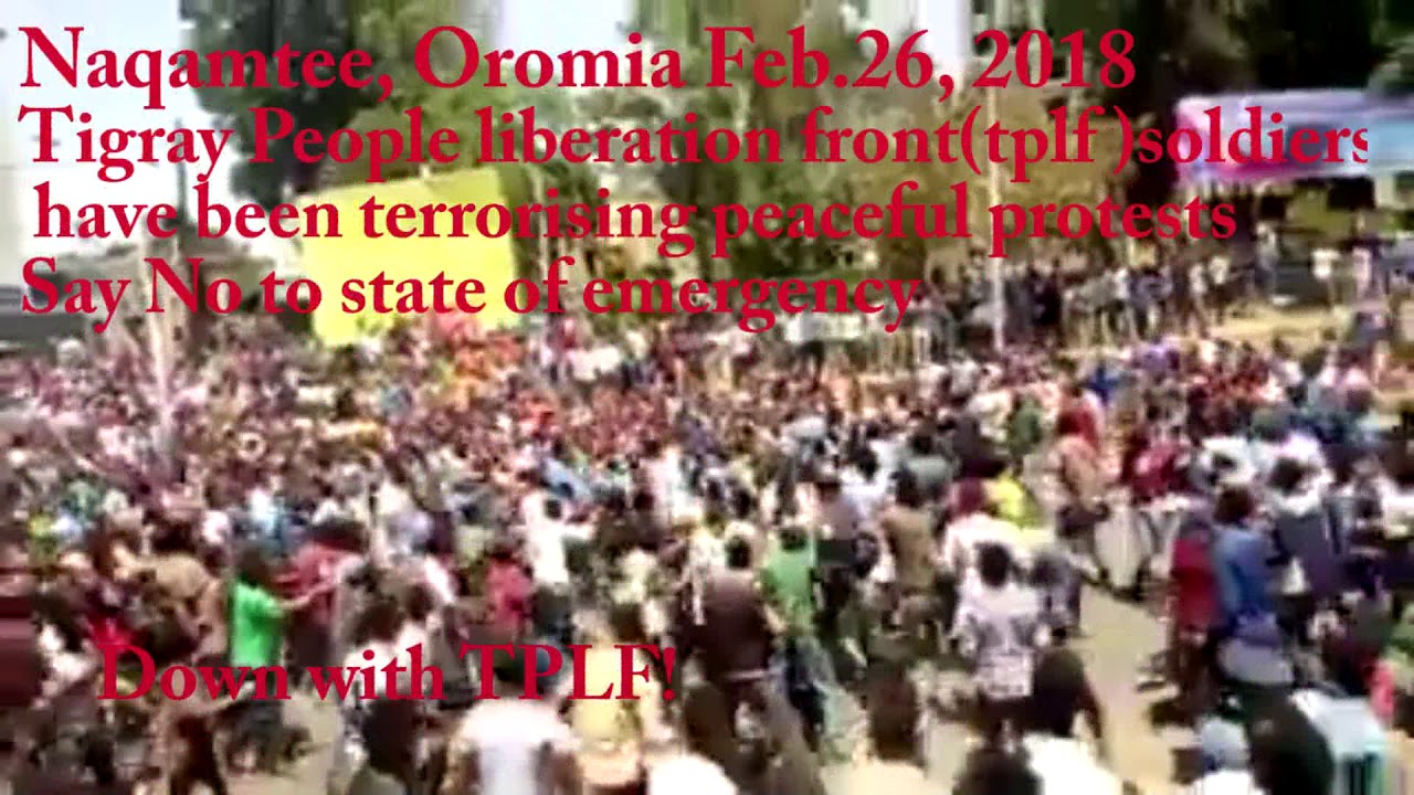 The Terrorist Tigray people liberation front(tplf) soldiers in Nakemt ...