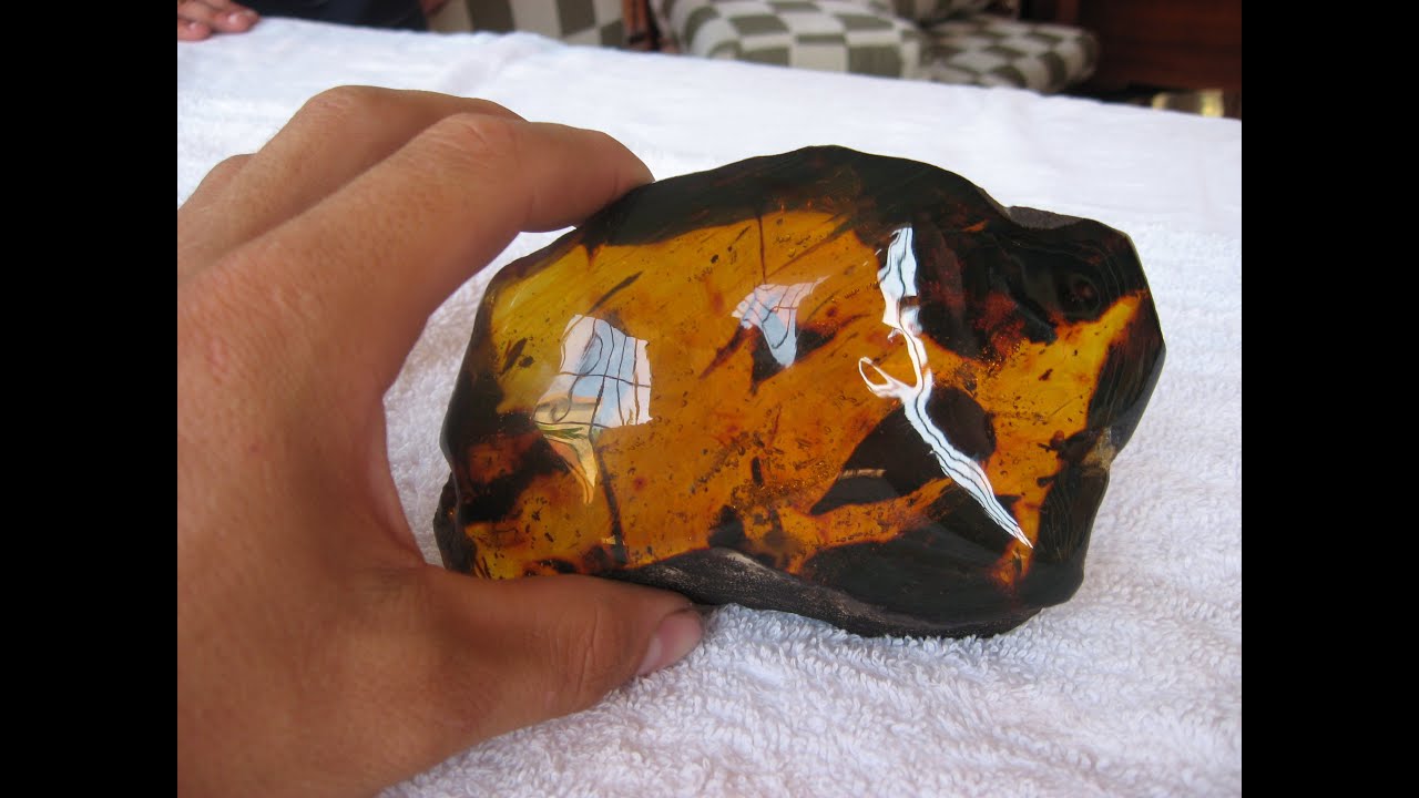 TerraTreasures Down into the La Toca Amber Mine in the Dominican ...