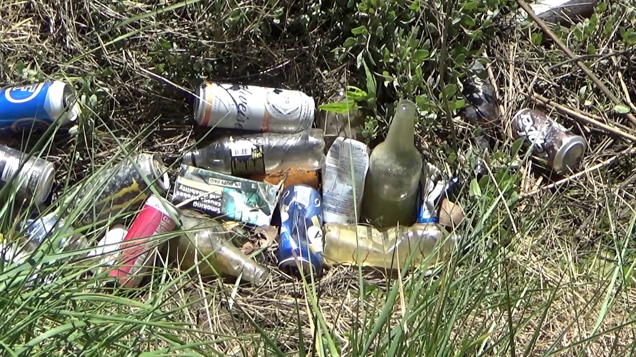 Why Litter? - documentary - YouTube