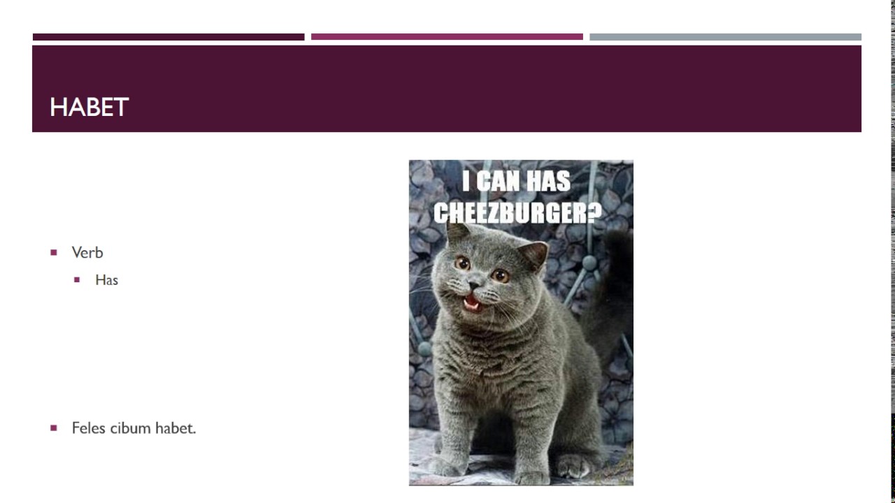 Cambridge Latin Course 5th Ed Stage 4 In Foro- Vocabulary - YouTube