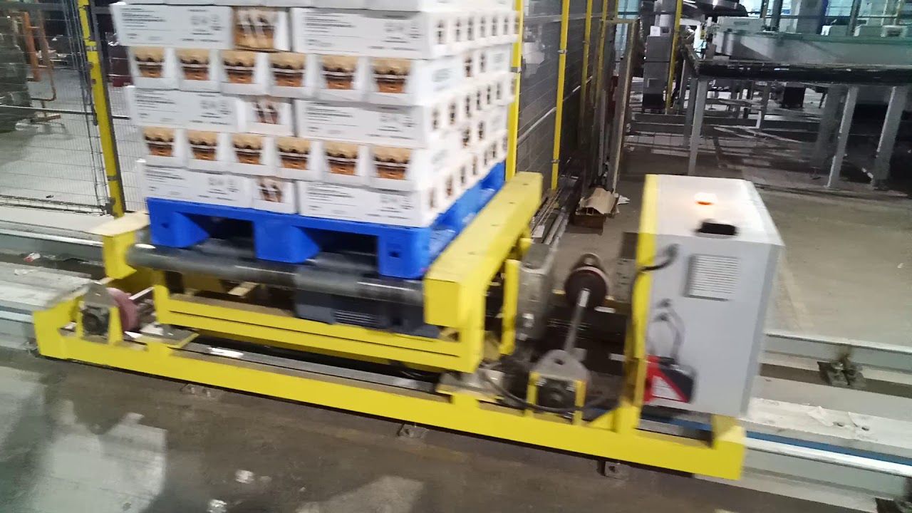 Pallet Shuttle System - RGV | Alligator Automations - YouTube