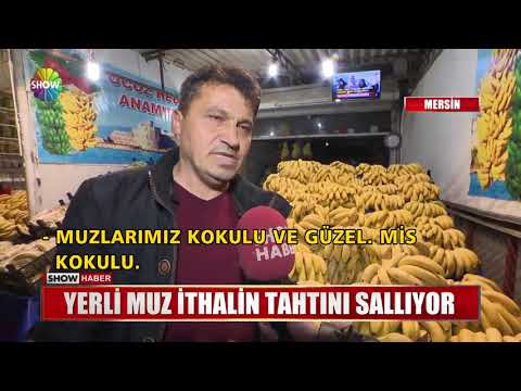 Yerli muz ithalin tahtını sallıyor