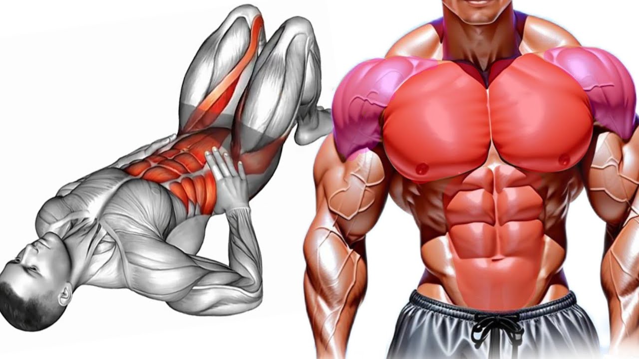 5 Exercise Do This 7 Days|Abs Chest Legs Workout At Home| - YouTube