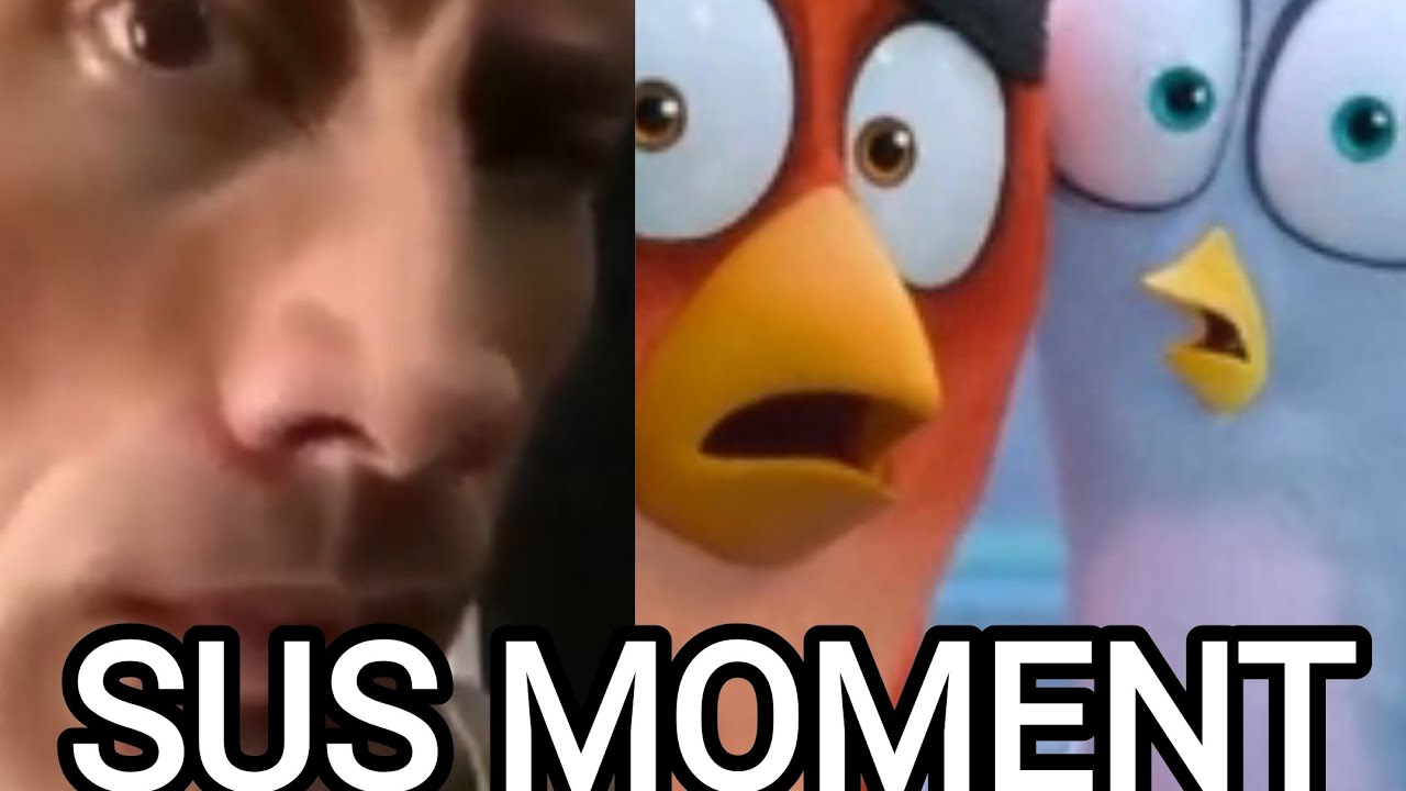 The Angry Birds Movie 2, SUS moment 🤨📸 - YouTube