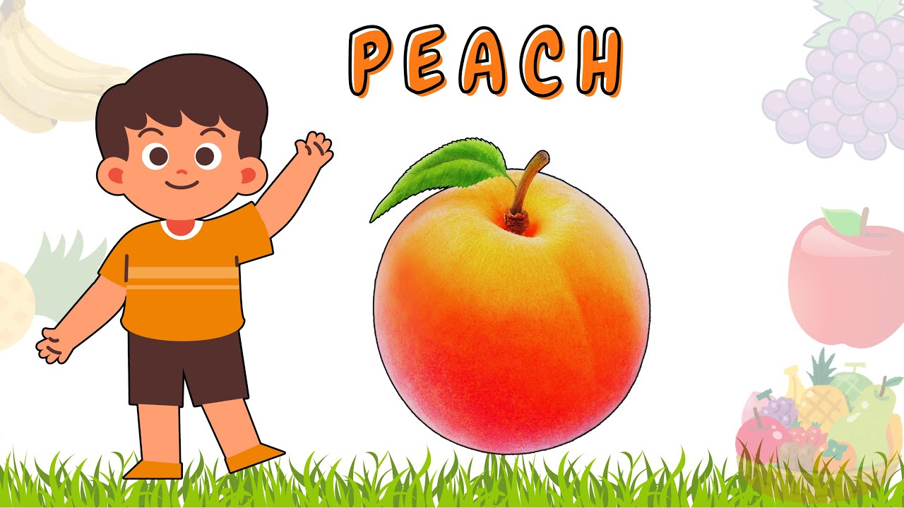 Meet the Peach! | Fun Learning for Kids 🍑 - YouTube