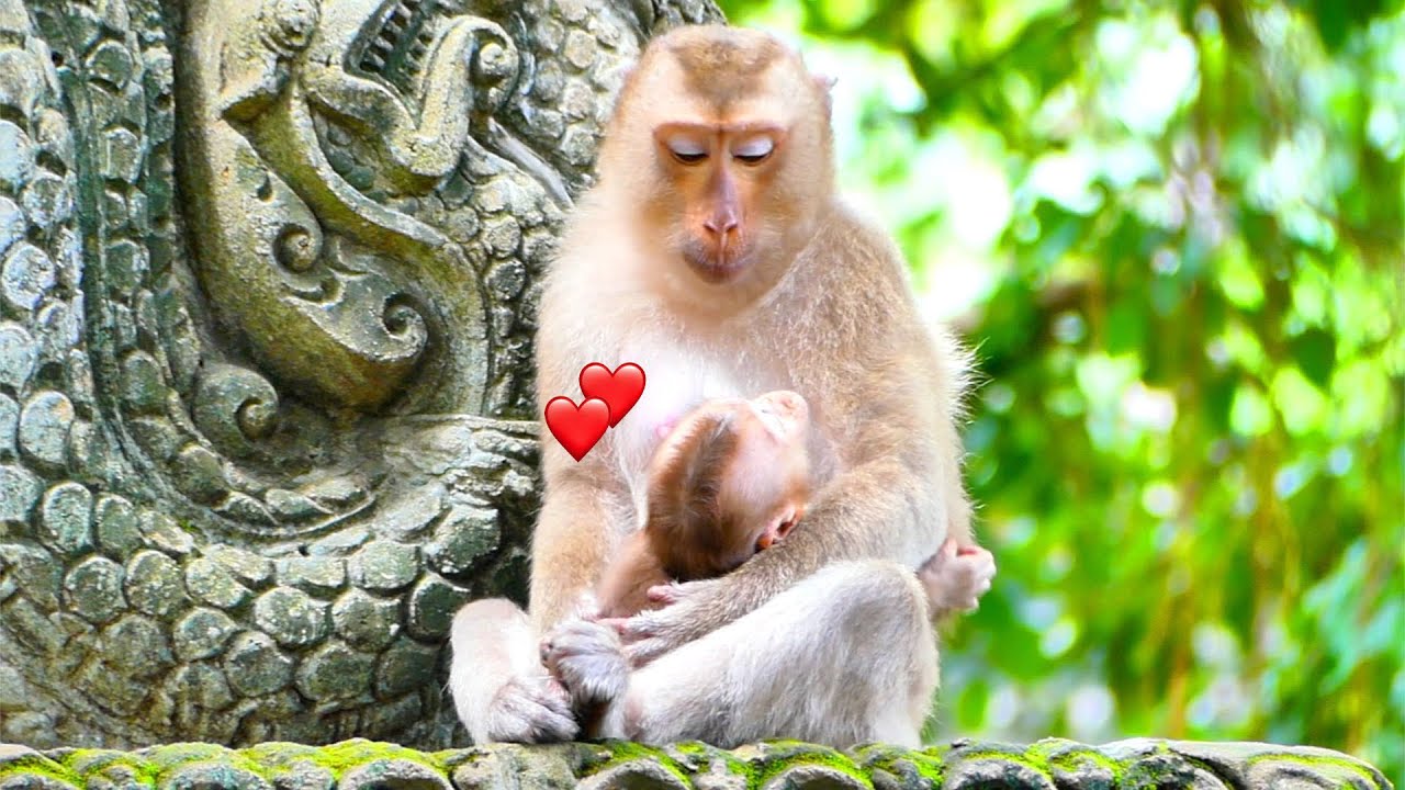 Awesome Video....The Young Mom RUBY Saying Love For Her Baby ALBERT Is ...