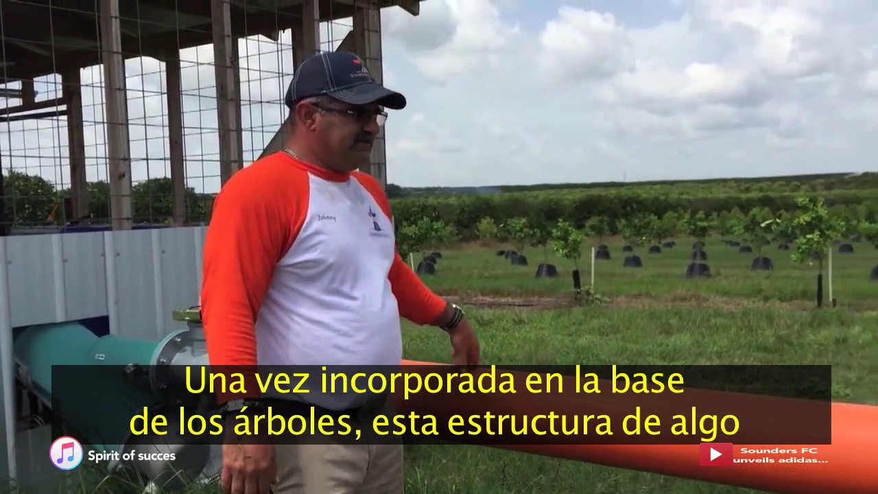 Tree T-PEE, El protector que reduce el 90% de agua y fertilizante - YouTube