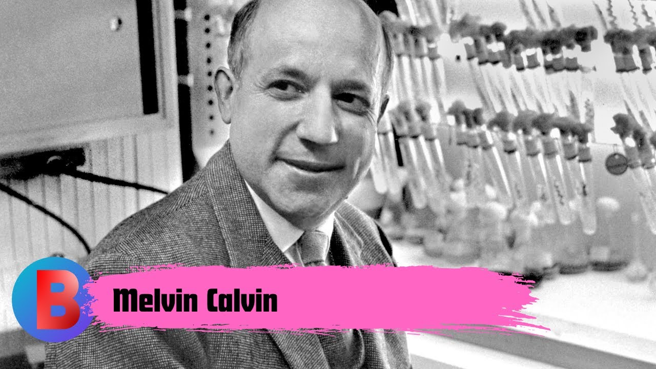Melvin Calvin | Biography - YouTube