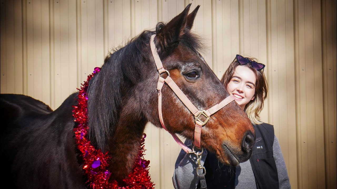 Adopt Beauty - YouTube