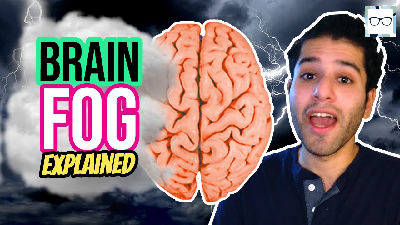BRAIN FOG EXPLAINED; Could ISRIB REALLY Help?! - YouTube