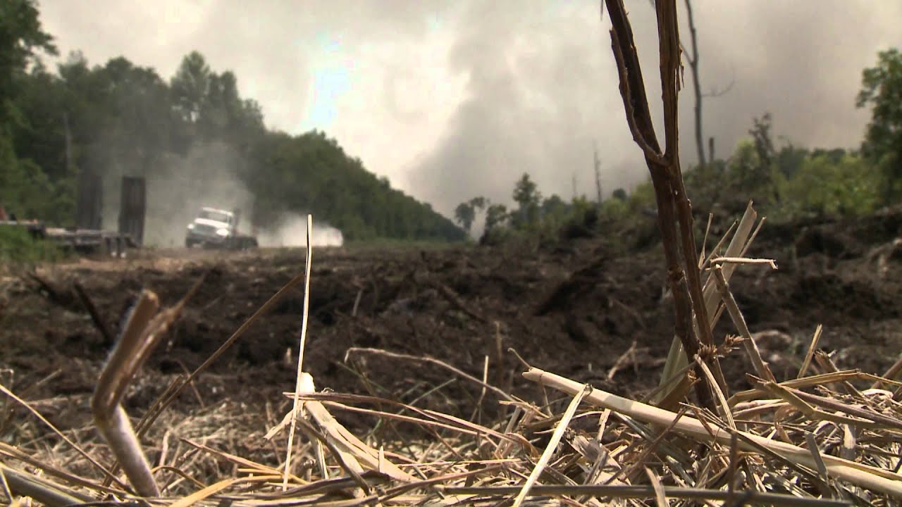A Closeup Look at the Great Dismal Swamp Fire and Why it's Still ...