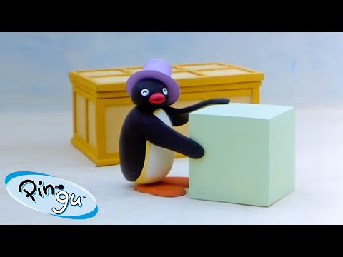 Pingu the Apprentice Magician 🐧 | Pingu - Official Channel | Cartoons For Kids