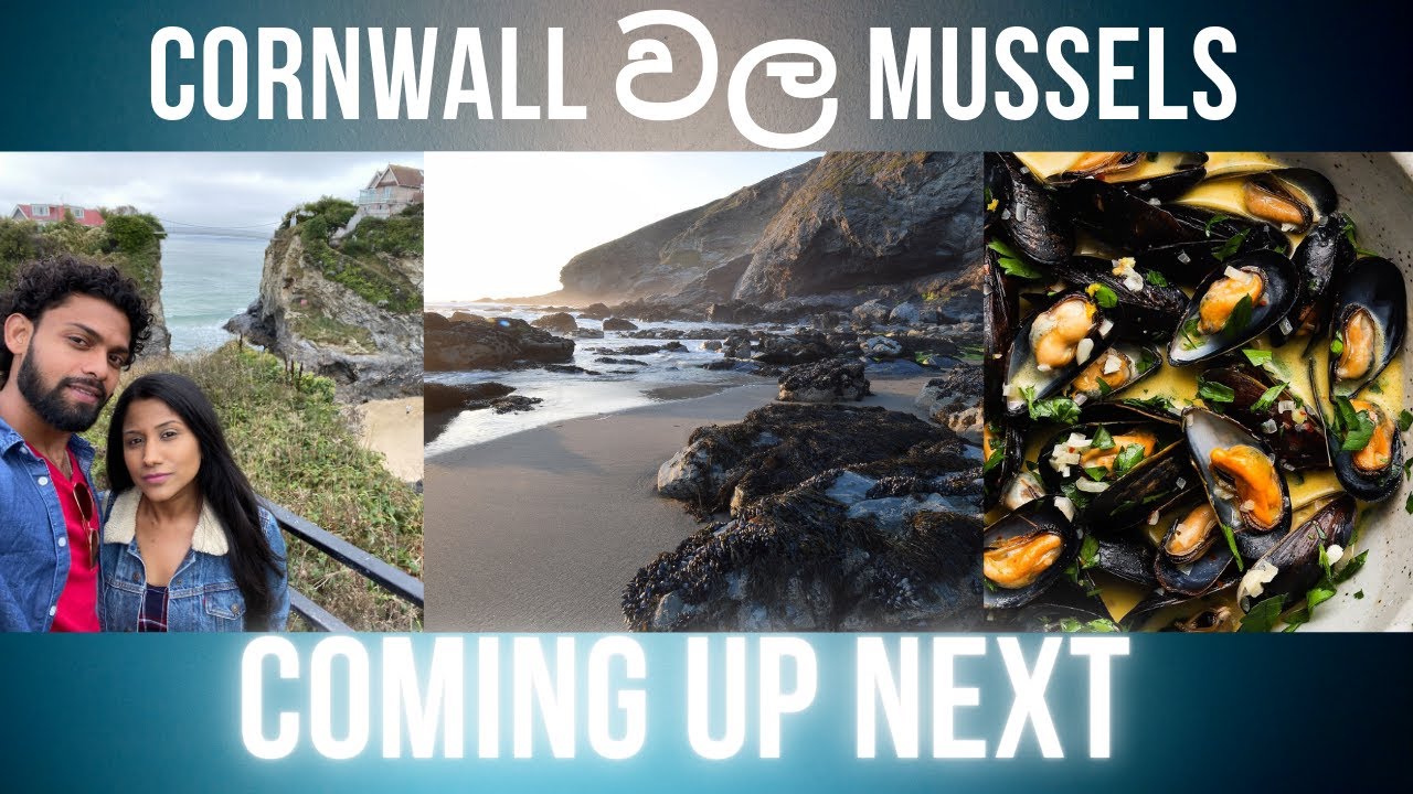 Cornwall වල Mussels (free Mussels) - Coming up next - YouTube