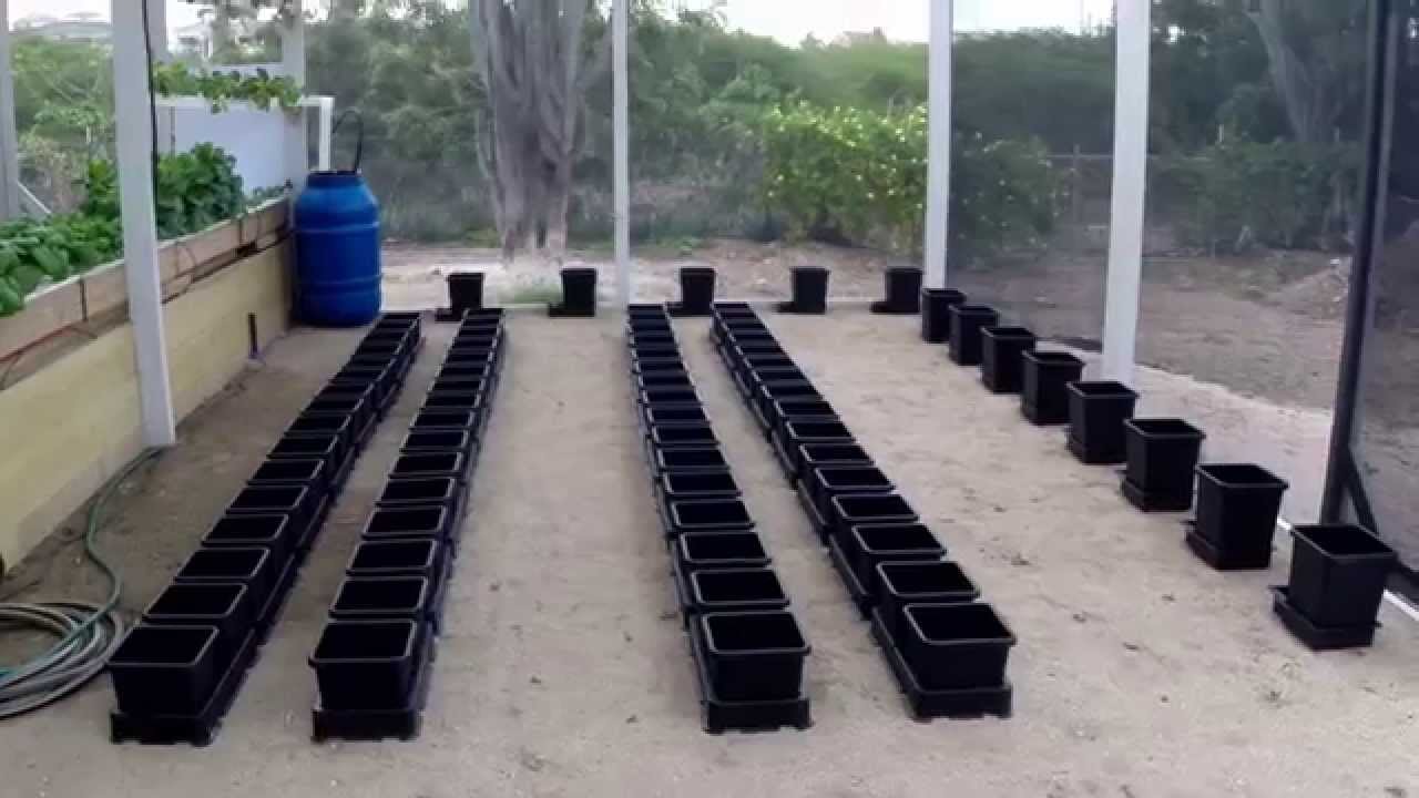 Installing the Autopots at URD Solution - YouTube