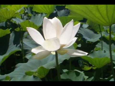 Ananda Giri sings Adi Purusha