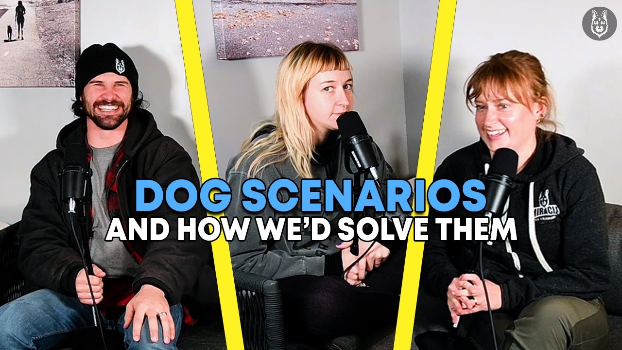 MK9 Podcast Ep. 53 - Dog Scenarios And How We'd Solve Them! - YouTube