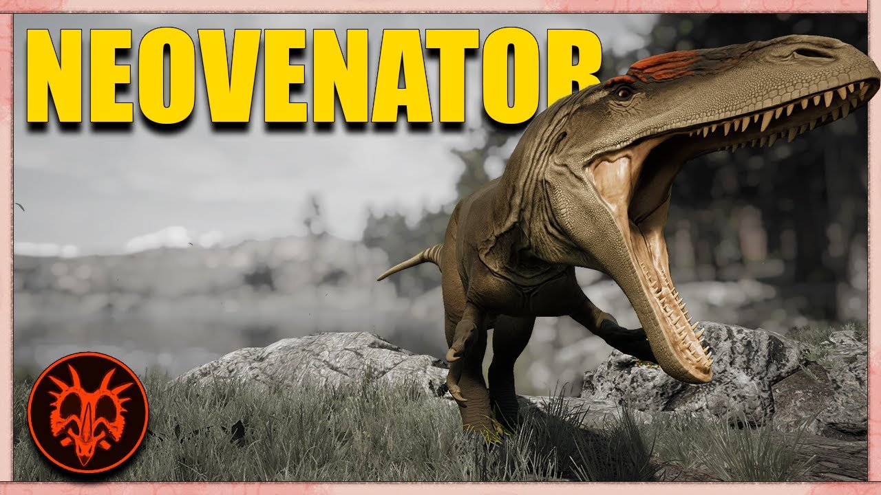 Neovenator