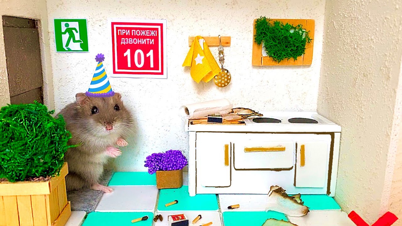 🐹AWESOME HAMSTER MAZE 😱[Obstacle Course]😱 -My hamster exploring his new ...