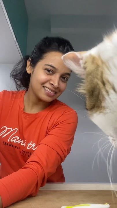 Chia pudding #catmom #cookingathome #cooking #with #cats - YouTube