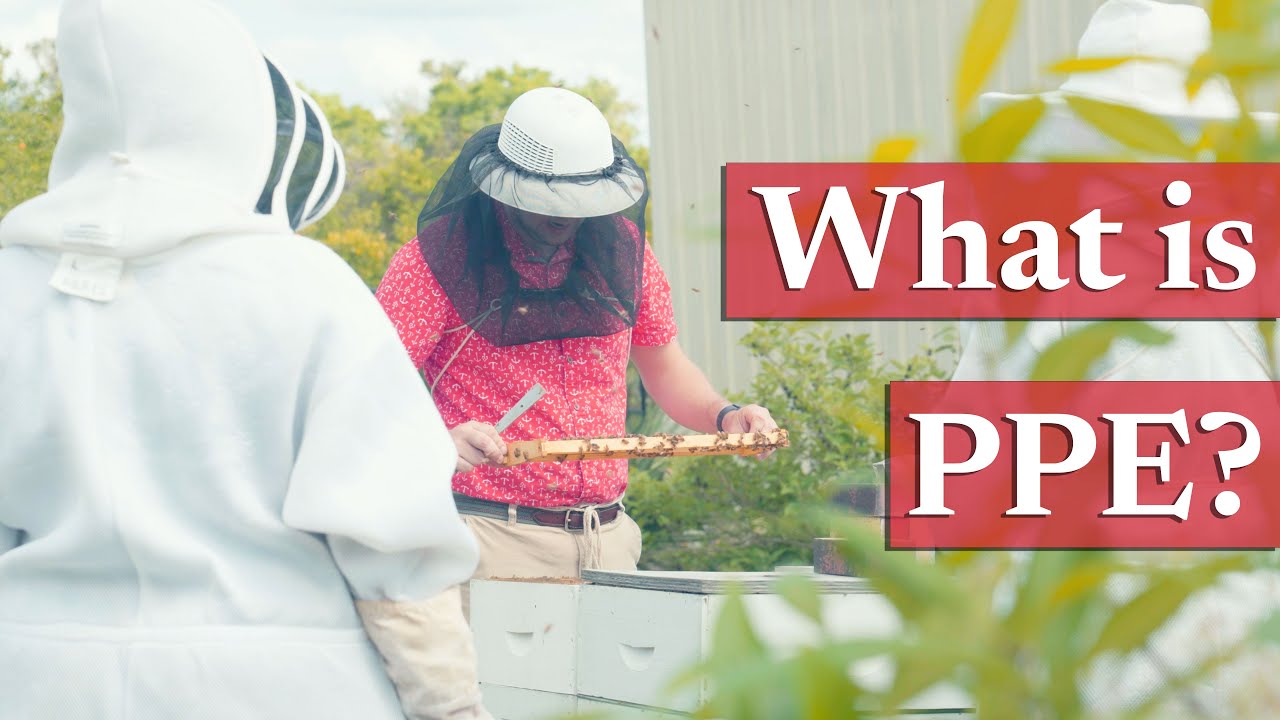 Beekeeping PPE Overview | Beekeeping Academy | Ep. 14 - YouTube