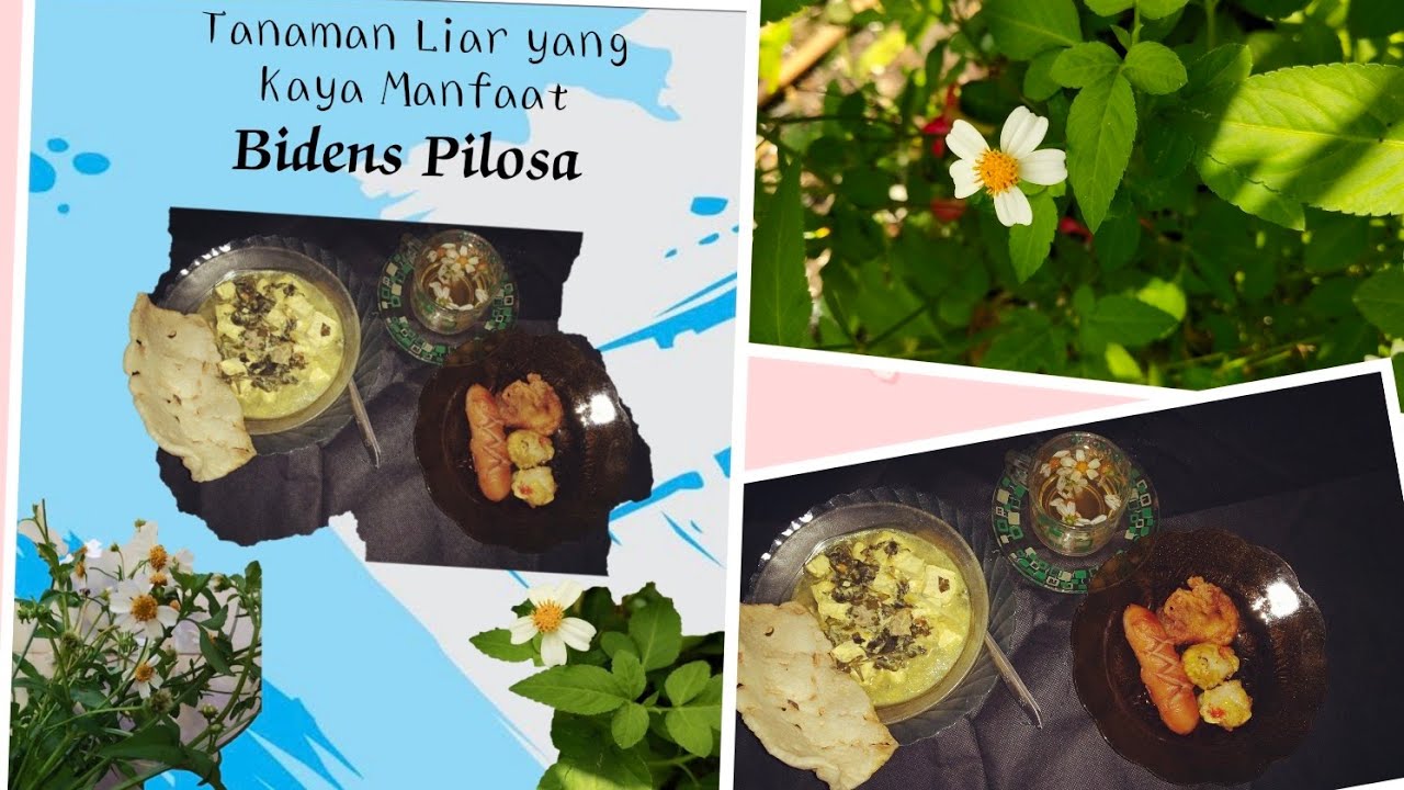 Membuat oblok oblok dari daun ketul | how to make oblok-oblok from Stem ...