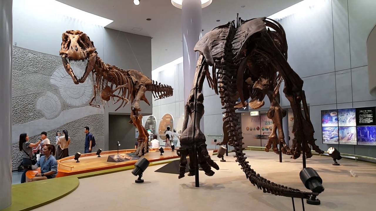 August 21, 2016 - YouTube