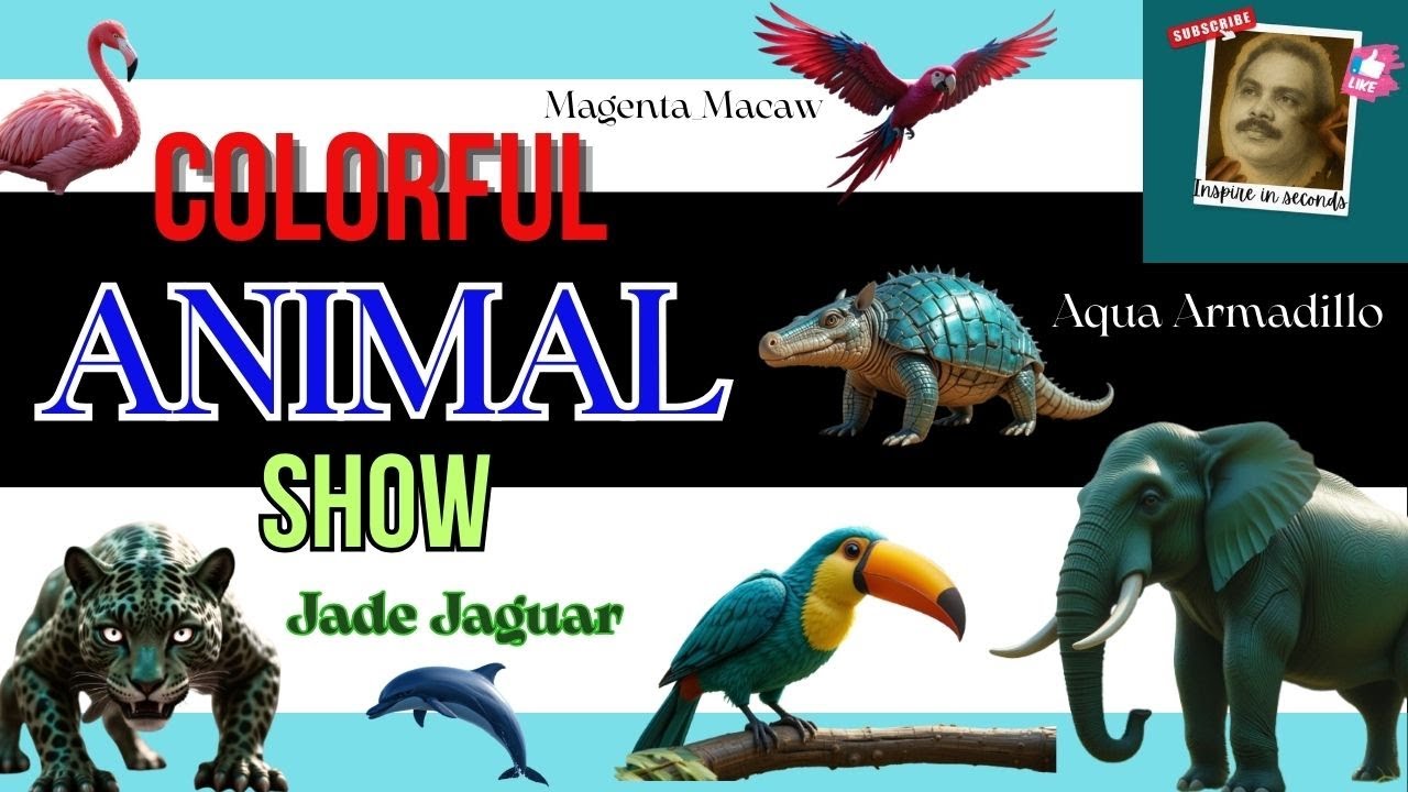 COLORFUL ANIMAL SHOW - YouTube