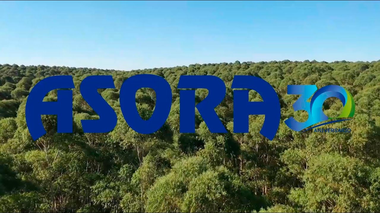 ASORA cumple 30 años plenos de realizaciones - YouTube
