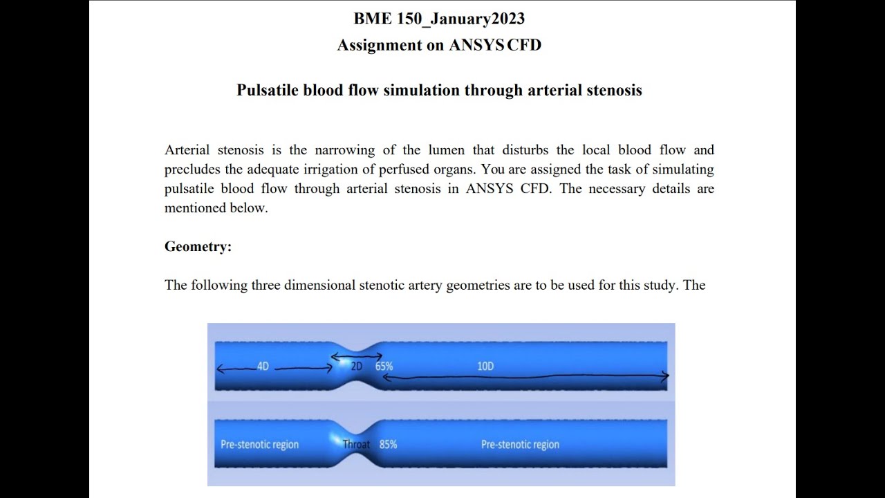 Ansys Assignment Batch 21 - YouTube