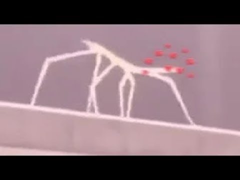 get sticked bugged lol MEME compilation NEW AUGUST - YouTube