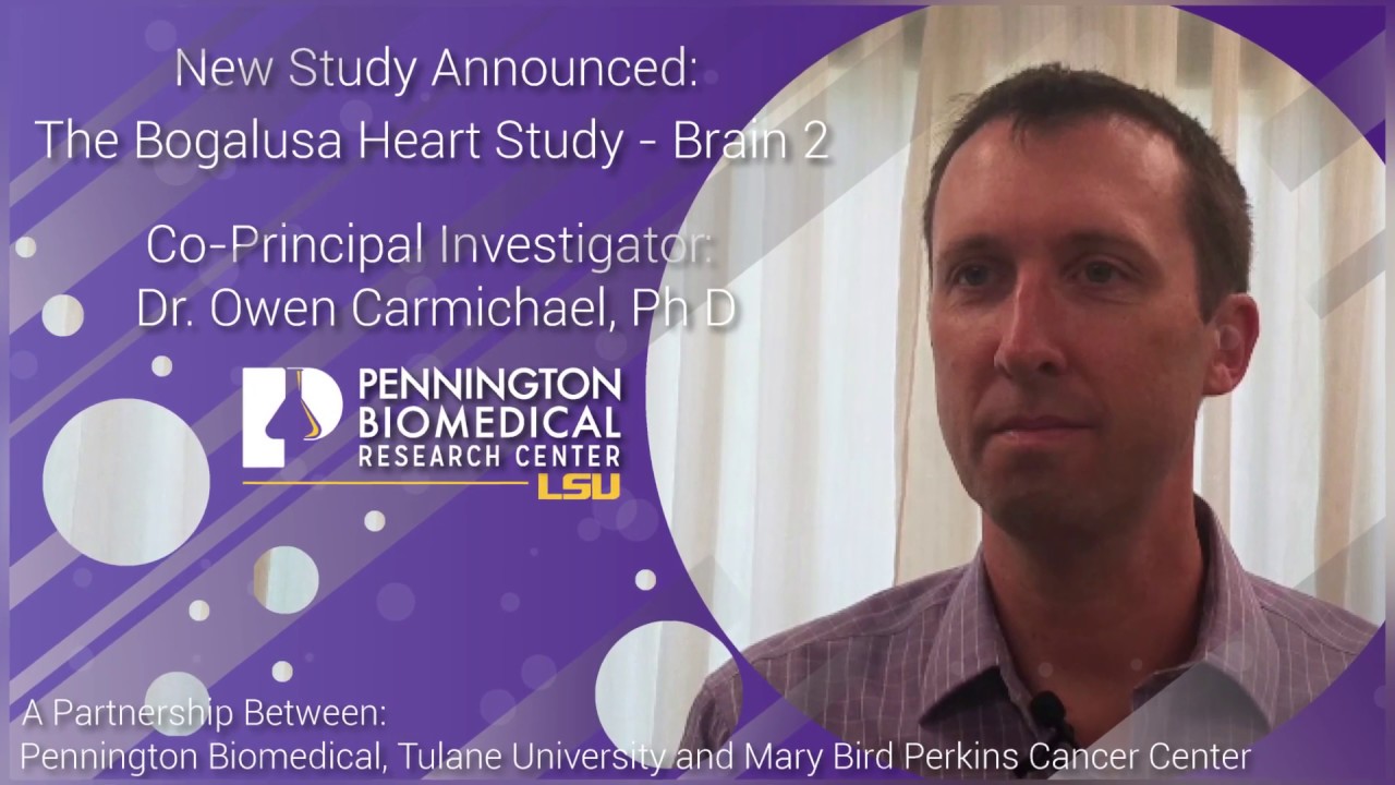 Dr Owen Carmichael - Bogalusa Heart Study - Brain 2 - YouTube