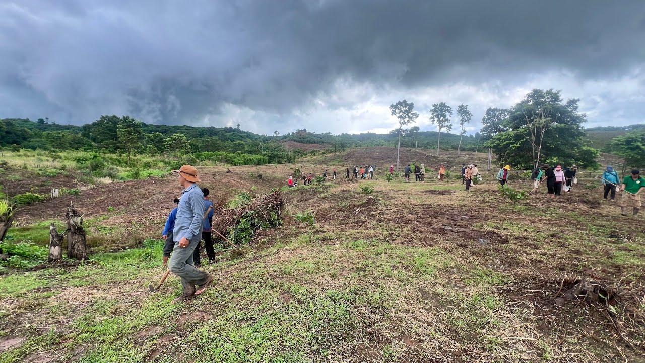40 indigenous people working together to plant beans following their ...