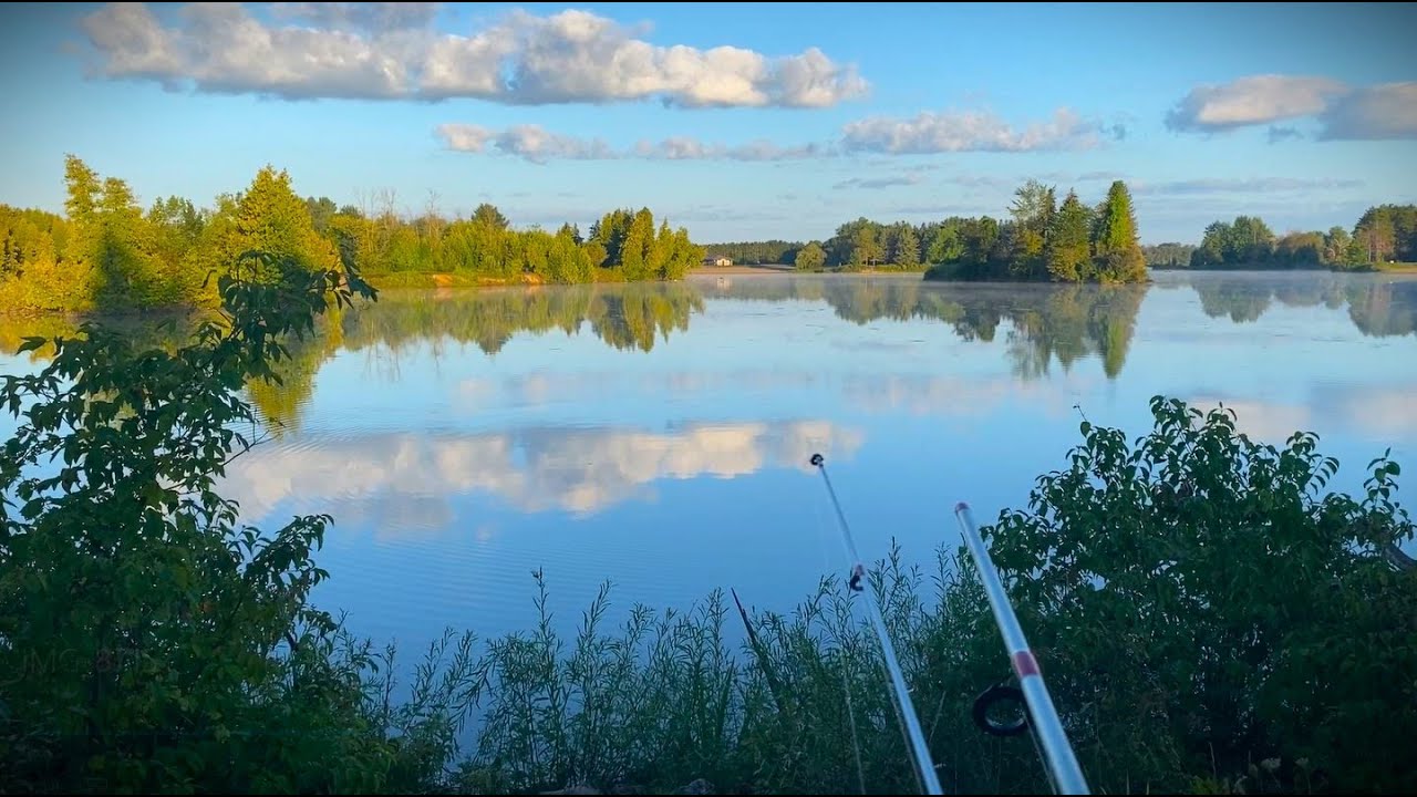 Earl Rowe Provincial Park Fishing! BIG fish live here! - YouTube