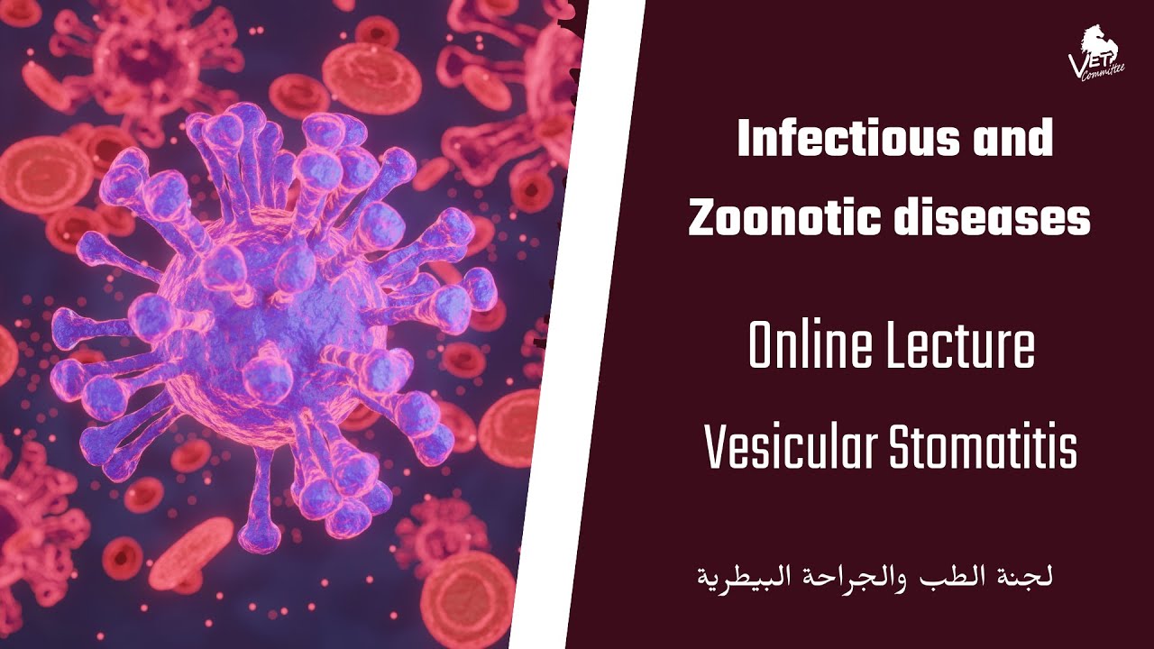 Infectious || Vesicular Stomatitis ( Online lecture - Dr.Amin ) - YouTube