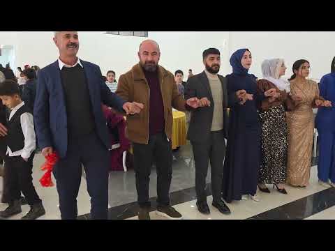BADIKAN AŞİRETİ MALA XUME EMİN SANCAR OĞLU SİNAN NİN DÜĞÜNÜ (6