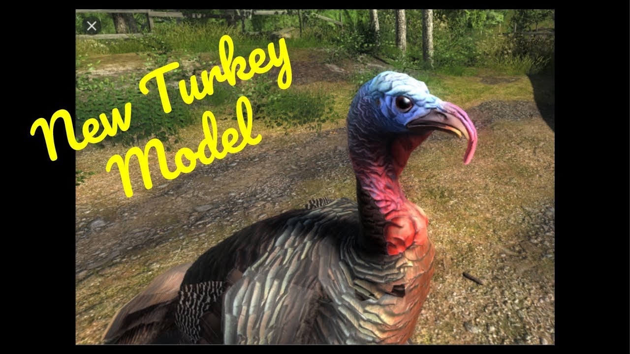 the Hunter: New Turkey Model is out!!!! - YouTube