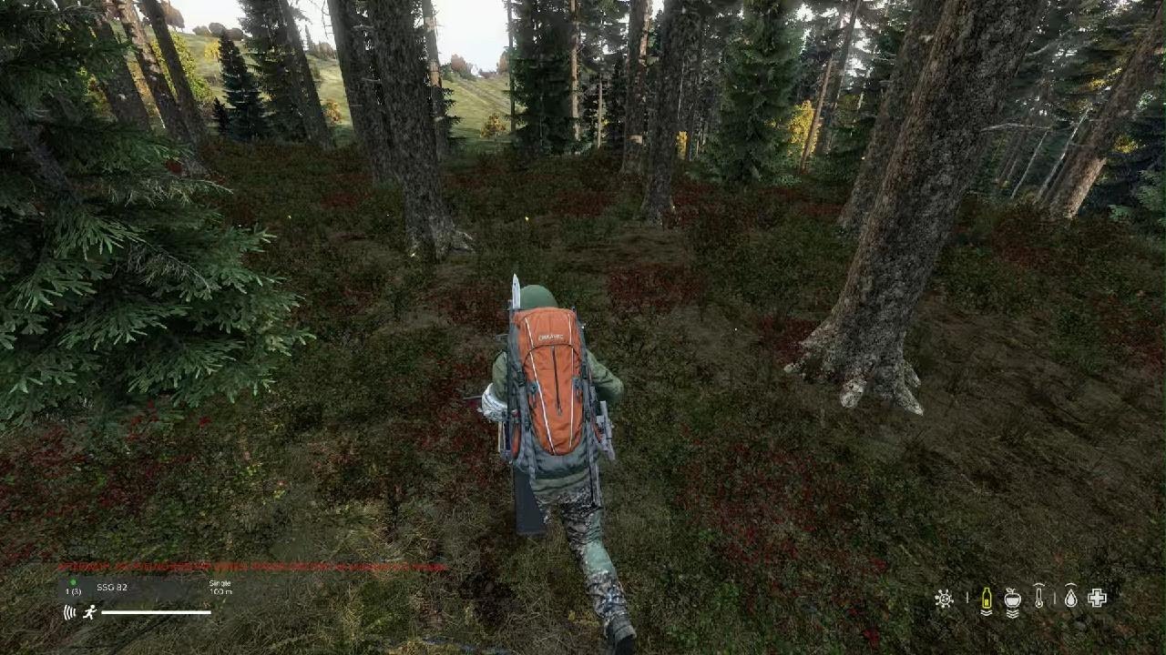 Dayz RP Hunting with Kuru - YouTube