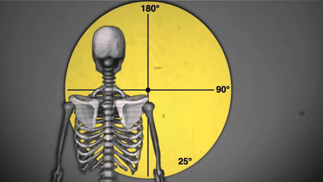 Arm Abduction!: How to raise your arm - YouTube