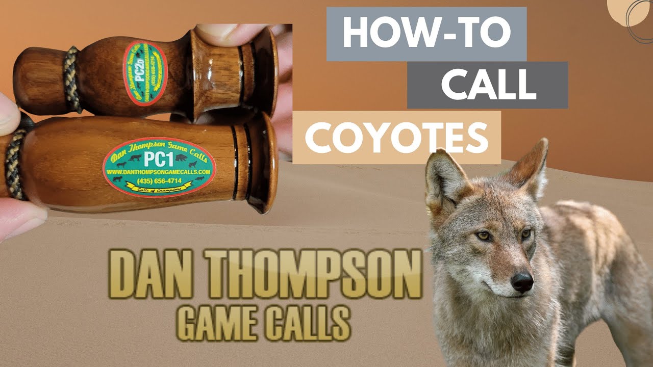 How To Call a Coyote with a Dan Thompson Call - YouTube