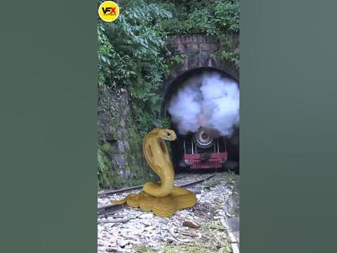 Snake on train track funny train vfx magic video new viral #youtube # ...