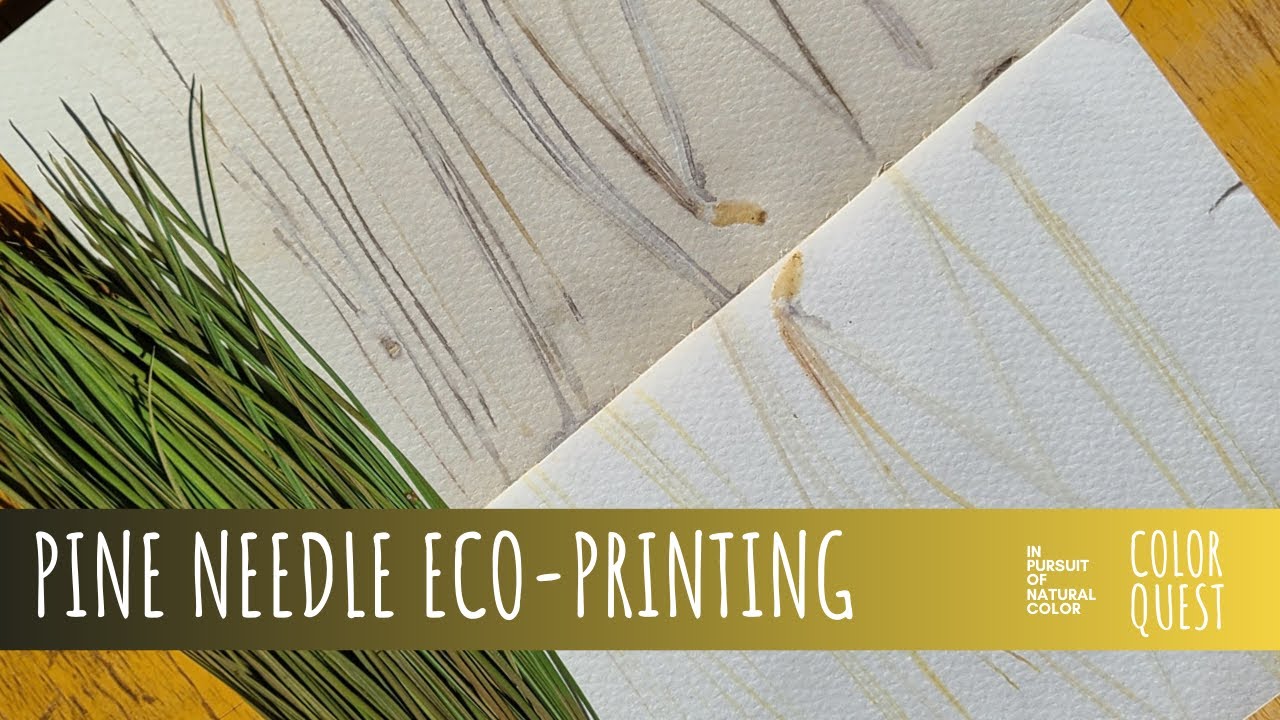 HOW TO ECO-PRINT WITH PINE NEEDLES | ORGANIC COLOR | PAPER SILK | IRON ...