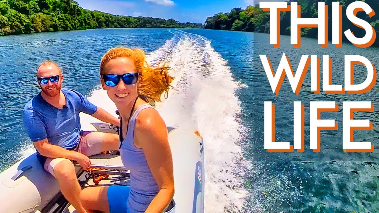 Anchored in the JUNGLE: Sailing Panama’s wild side! [Ep81 RED SEAS ...