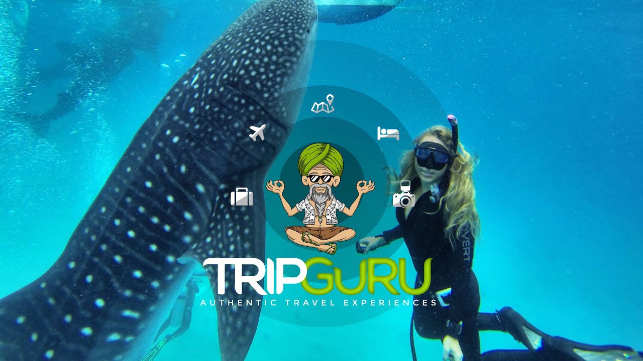 TRIP GURU Best Activities – Freediving Initiation, Mactan, Philippines ...