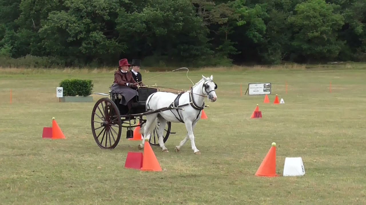 Traditional carriage driving, single pony, cones competition, CIAT ...