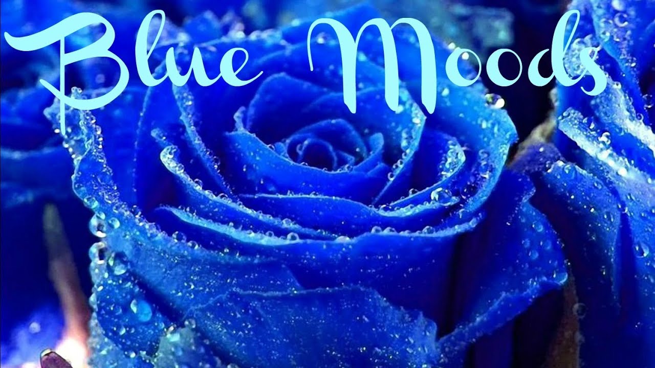 Healing Nature Colours - Blue Moods - YouTube